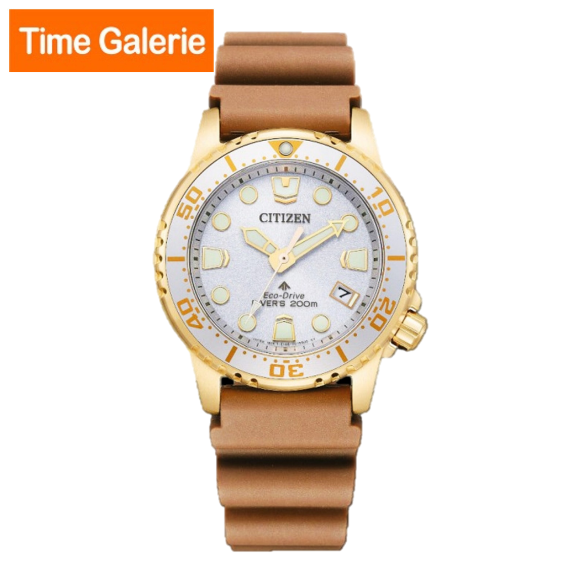 Citizen EO2022-02A Promaster Eco-Drive Taucheruhr Brown Strap Eco-Drive ...